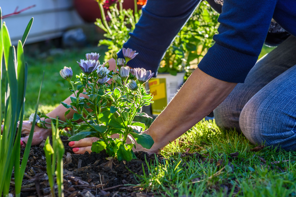 Why Mulching Is Perfect For Hot Weather - Devine Bros